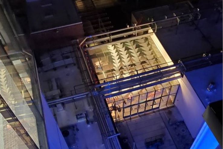 The Momentary - General Glass