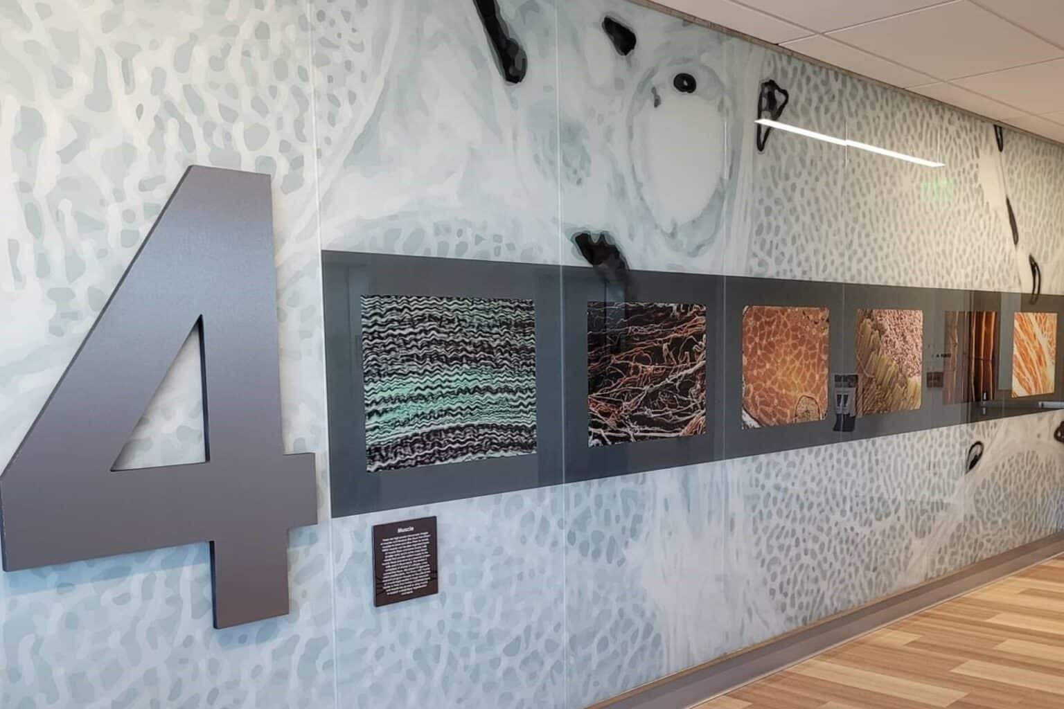 Experiential Design: Transforming Spaces with Decorative Glass and ...